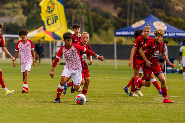 Club America Cup 2026 - Club America Cup